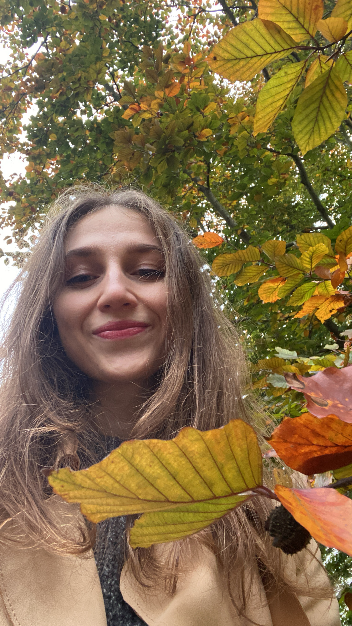 Amber (poem) – Hannah M. Clipston